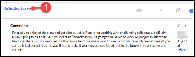 Canvas Assignment Feedback | Wilmington University